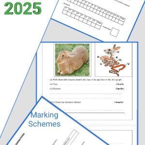 Bokake 2025 mock exams