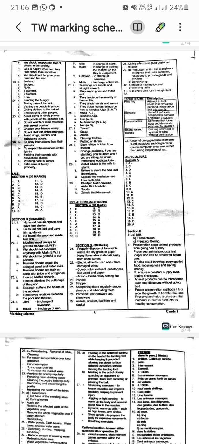 Targeter wings 006 Grade 8