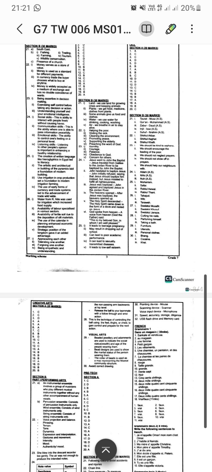 Targeter wings 006 Grade 7