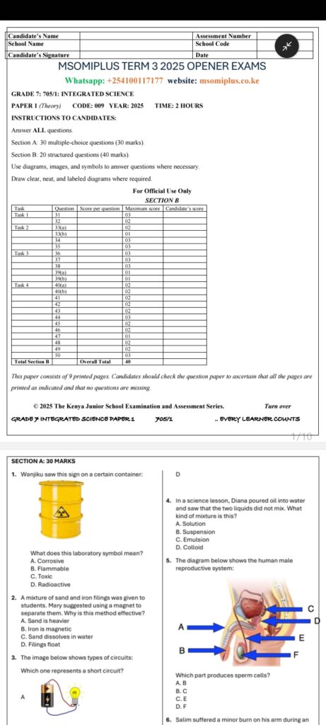 Grade 7 opener exams Term 3 2025