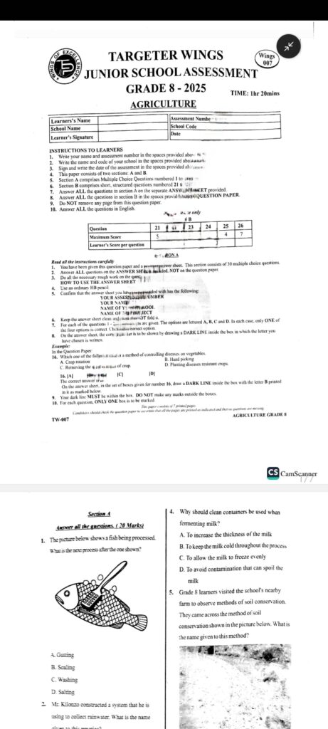 Targeter wings 007 grade 8