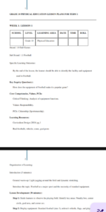 Physical education grade 10 lesson plan term 1