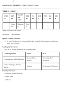 Mathematics Grade 10 lesson plan term 1
