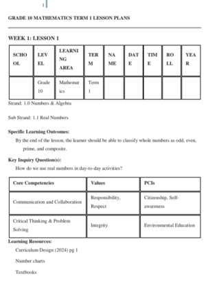 Mathematics Grade 10 lesson plan term 1